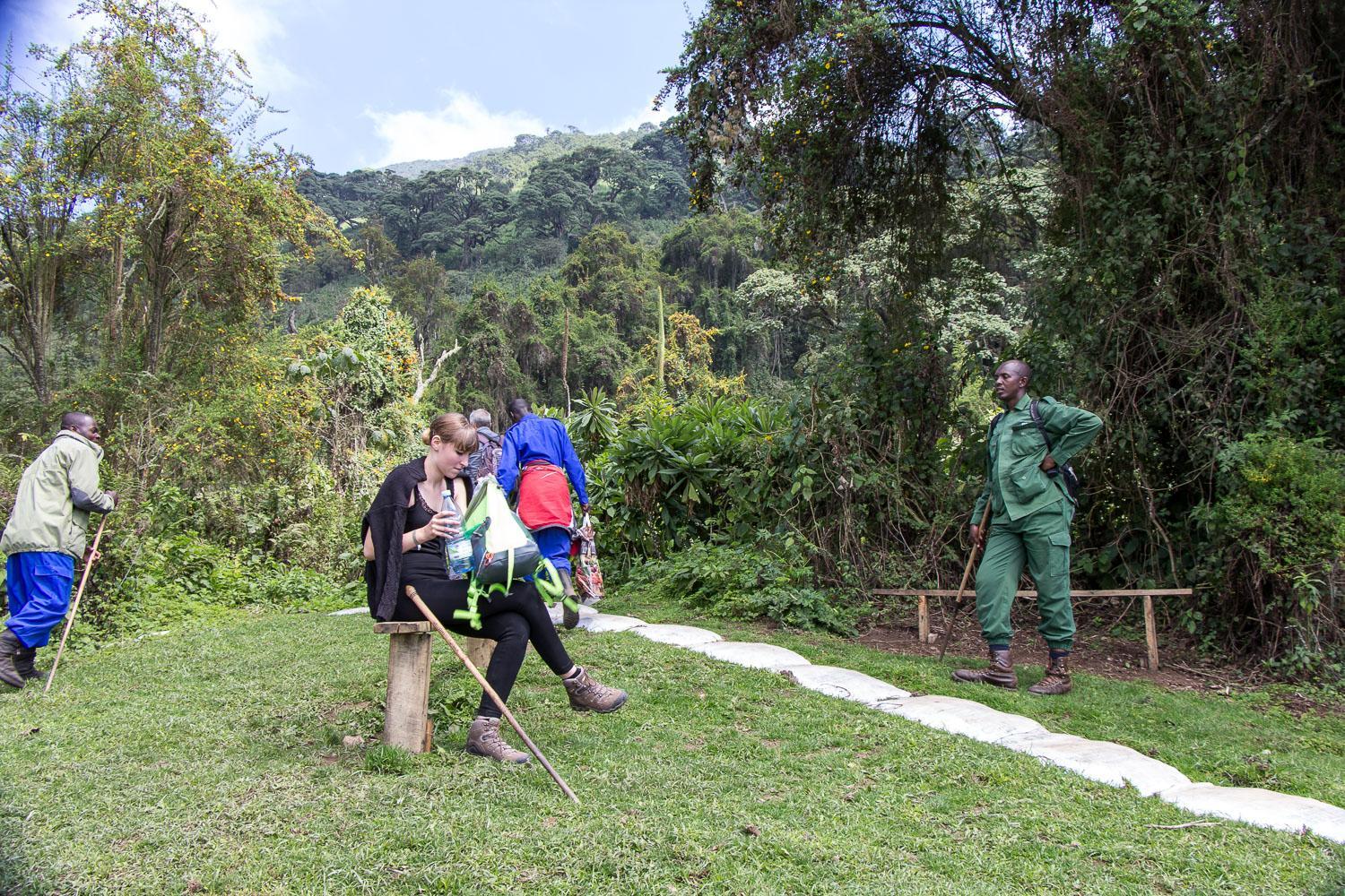 Climbing Mt Bisoke, Volcanoes Natl Park, Rwanda - Wide Angle Adventure