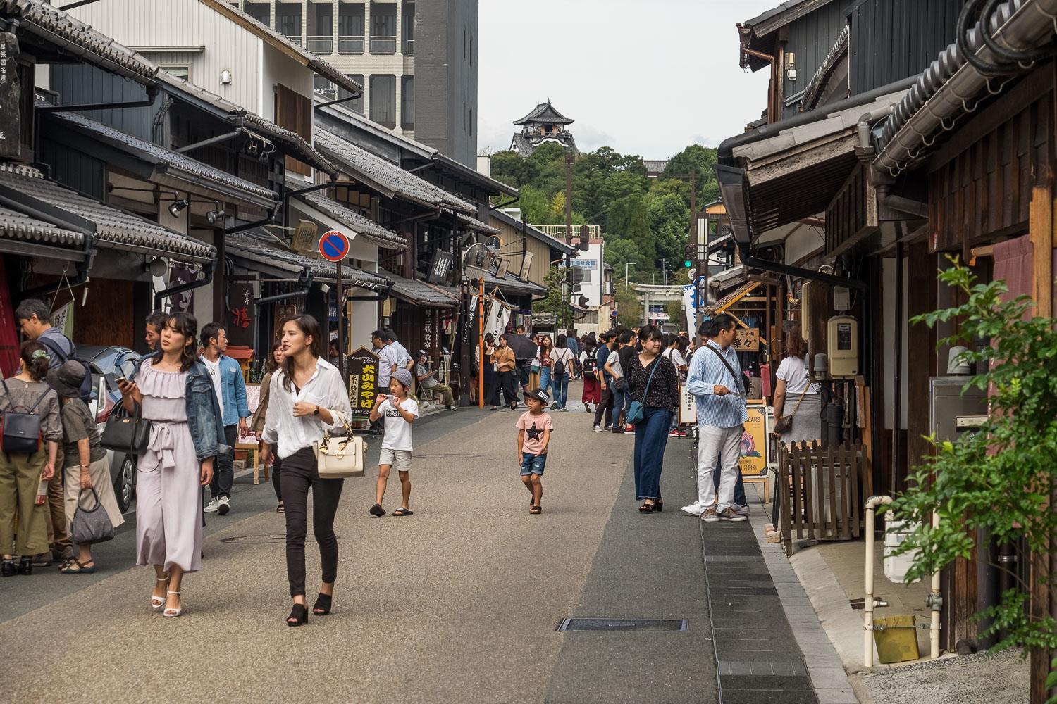 Cormorant Fishing and Other Sights, Inuyama, Japan - Wide Angle Adventure